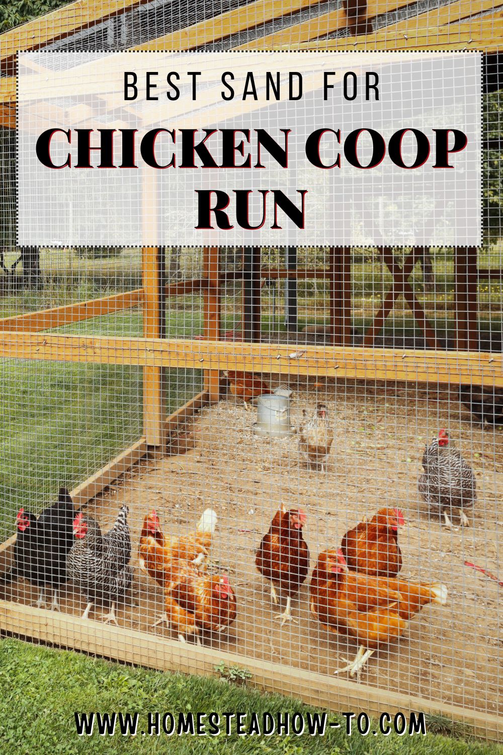 Best Sand For The Chicken Coop Run