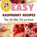 24 Easy Raspberry Recipes That Are Both Tart And Sweet