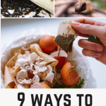 9 Ways To Use Tea Bags In Your Garden