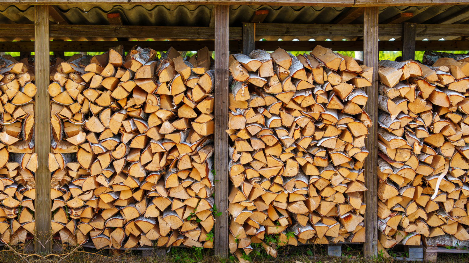 15 Must-Have Supplies Every Prepper Needs Beyond Food And Water