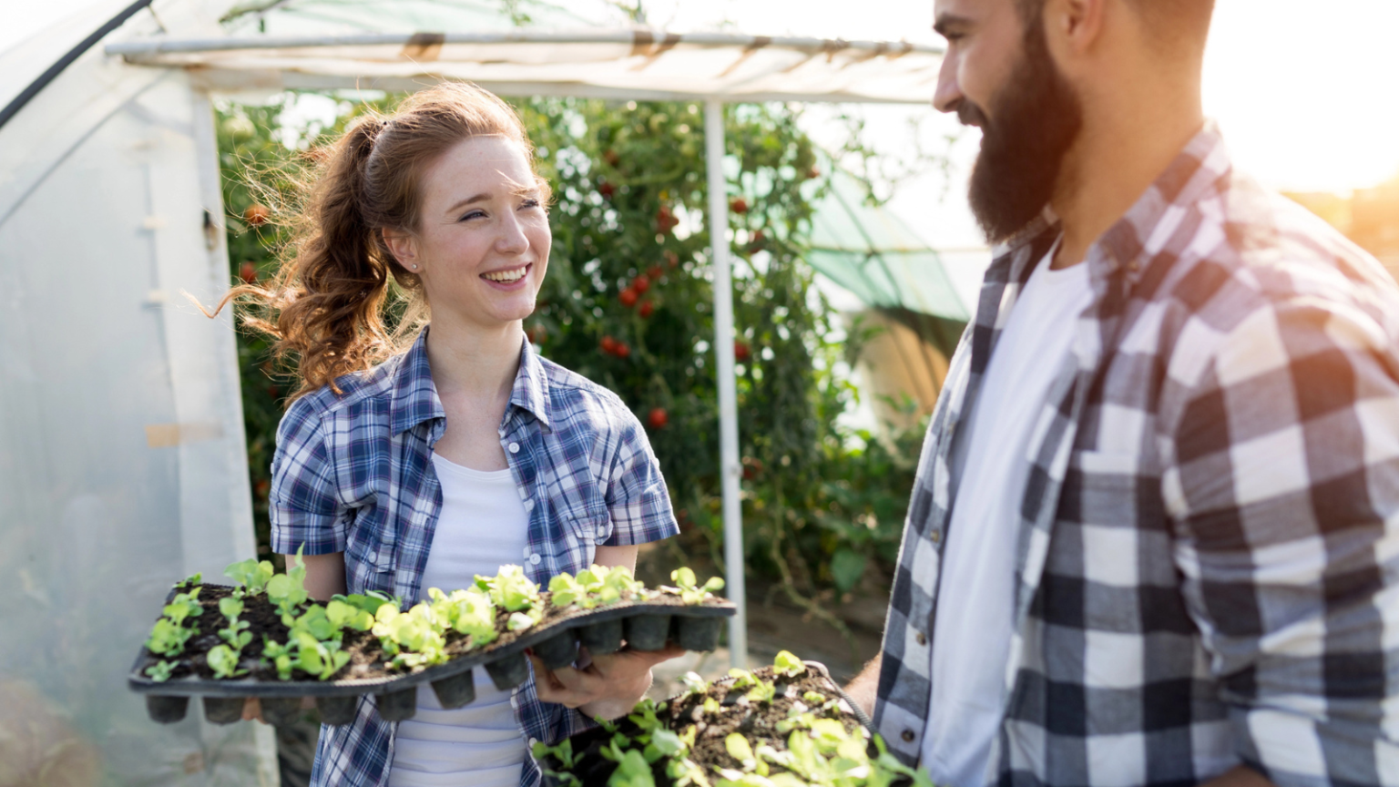 Millennials Are Choosing Homesteading: Why It’s Attractive To So Many