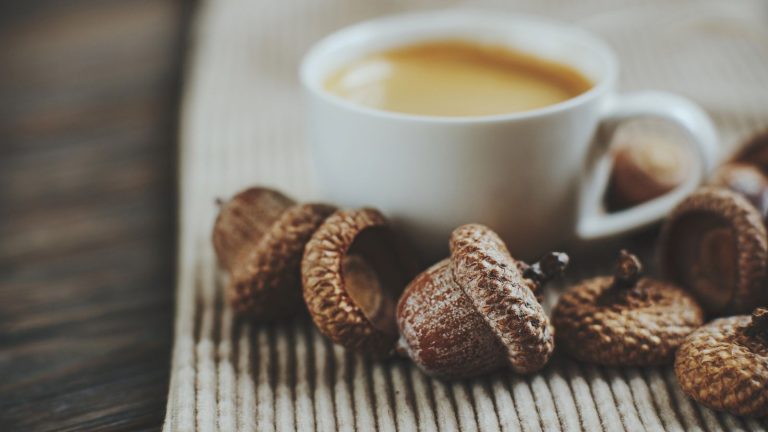 What To Do With Those Fallen Acorns In The Yard