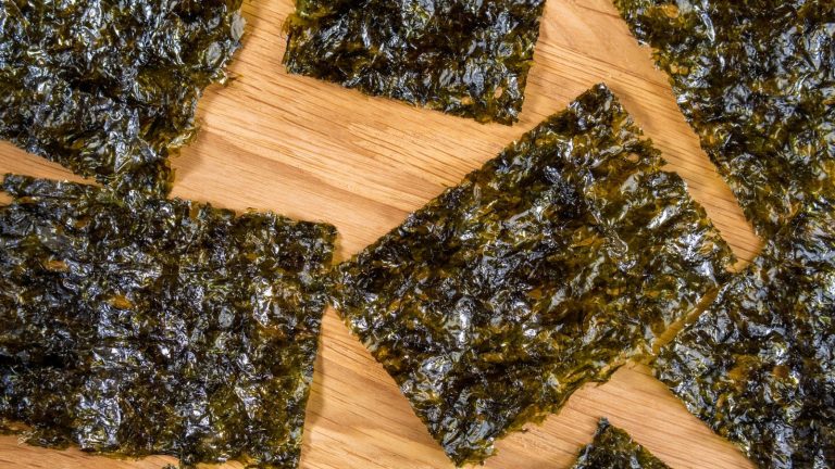 16 Survival Foods You Can Eat In The Wild To Keep You Alive