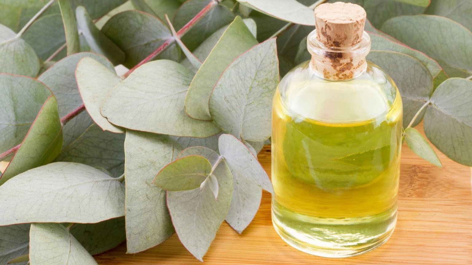 14 Herbs And Flowers You Can Grow To Naturally Relieve Aches And Pains