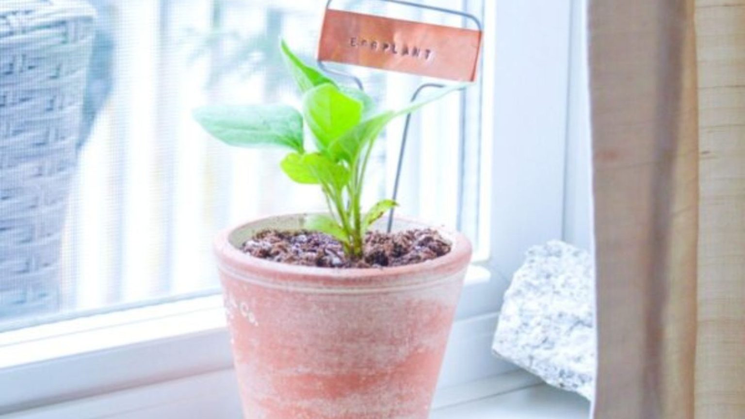 15 Creative DIY Garden Decor Ideas To Spruce Up Your Garden Year Round