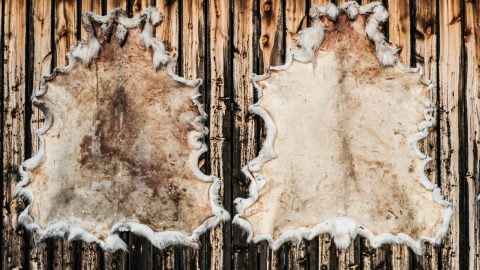 18 Primitive Skills From Our Ancestors That We Should All Learn