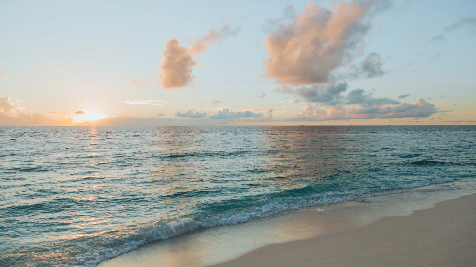 20 Hidden Water Sources That Can Keep You Alive In An Emergency