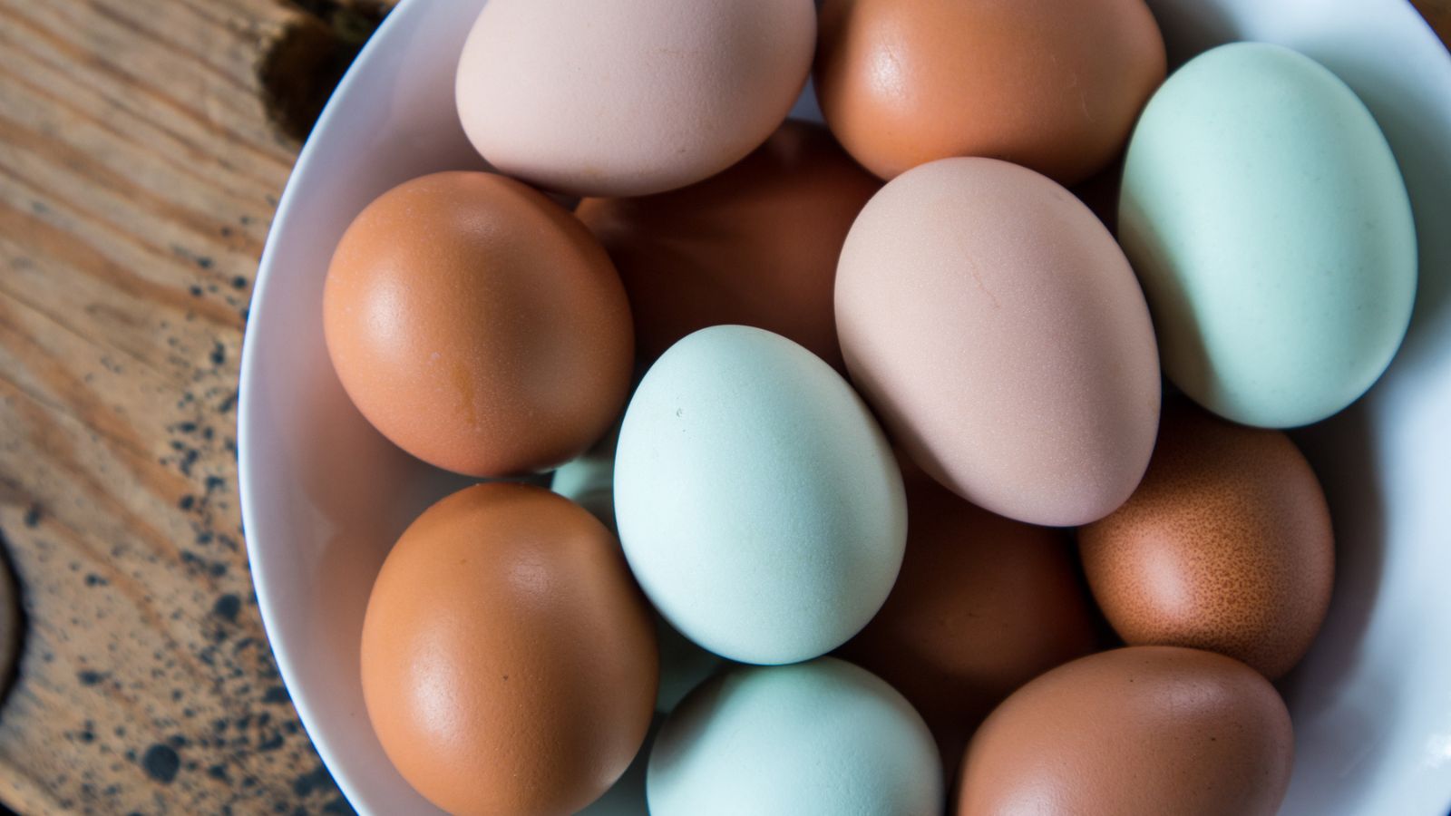 19 Chicken Breeds With The Most Beautiful Egg Colors