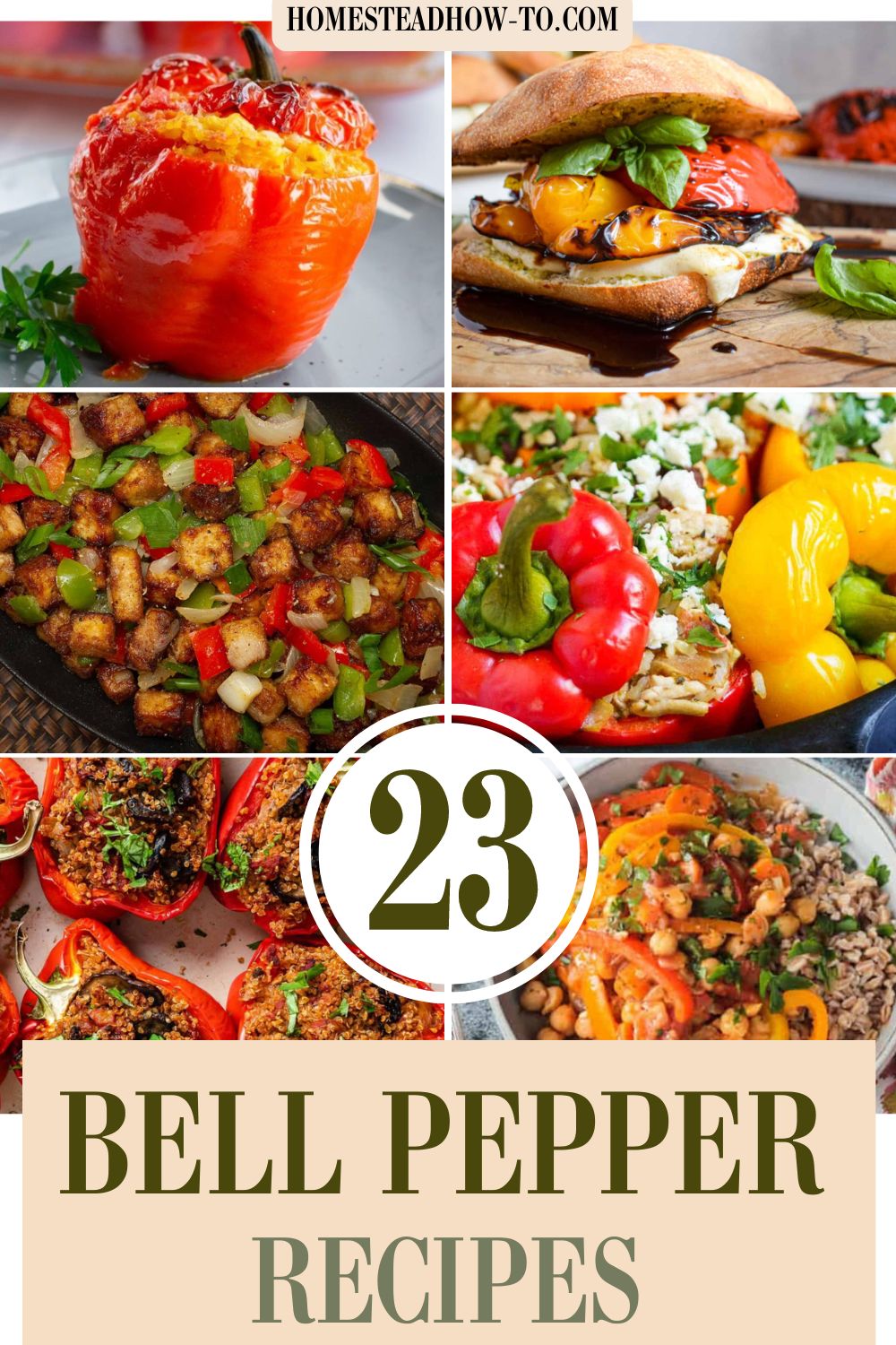 23 Bell Pepper Dishes That Taste Incredible