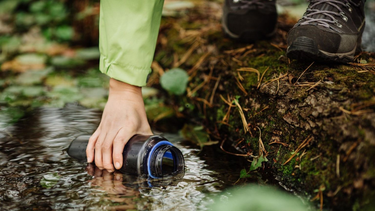 15 Essential Wilderness Survival Skills You’ll Wish You Had Learned