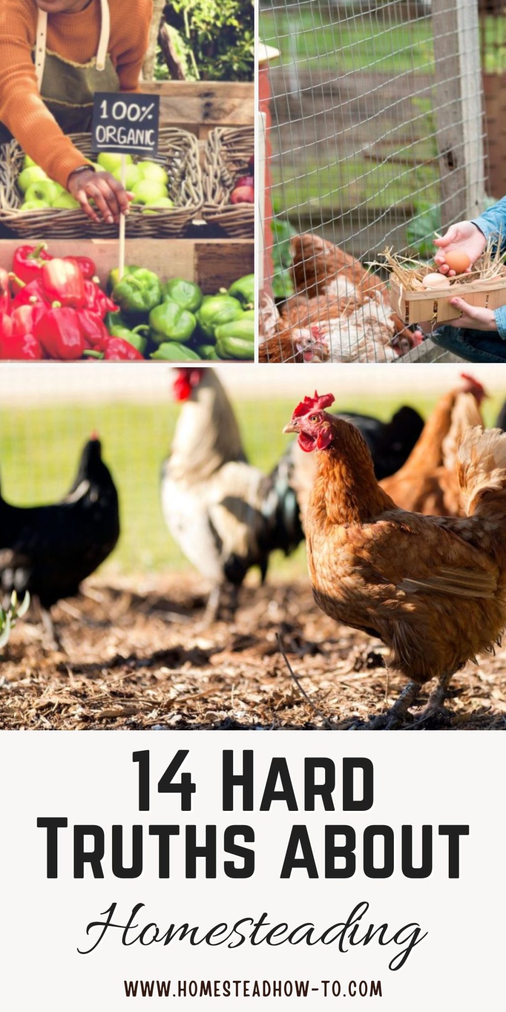 14 Hard Truths About Homesteading No One Tells You About