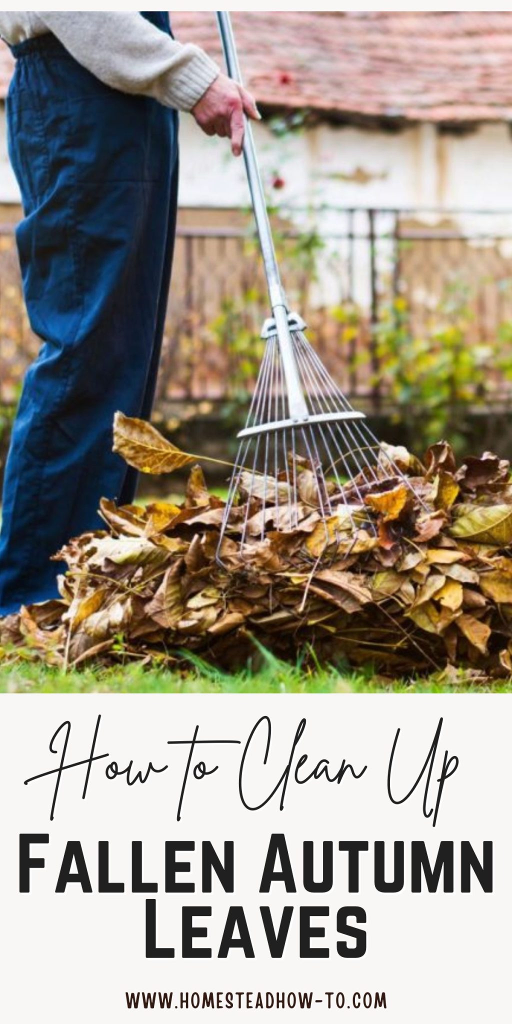 How To Clean Up Fallen Autumn Leaves From Your Yard