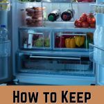 No Electricity? How To Keep Food Cold The Old-Fashioned Way During A ...