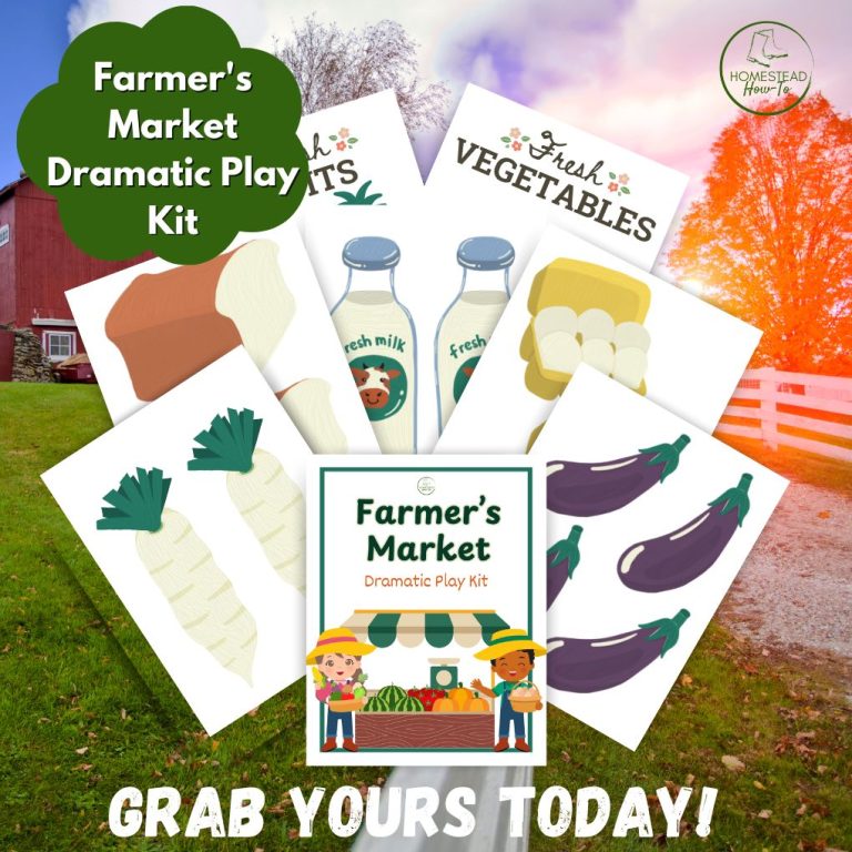 Farmer’s Market Dramatic Play Kit (Free Printable)