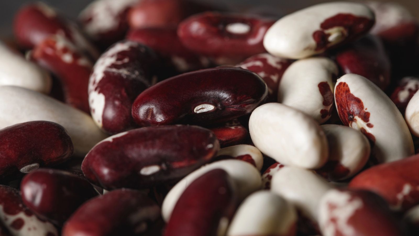 10 Best Canned Beans To Have Ready In Your Emergency Pantry