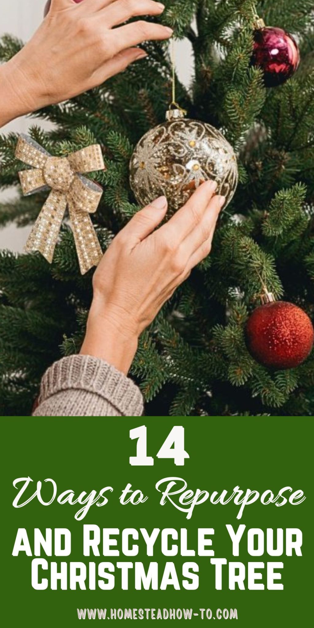 14 Ways To Repurpose And Recycle Your Christmas Tree After The Holidays