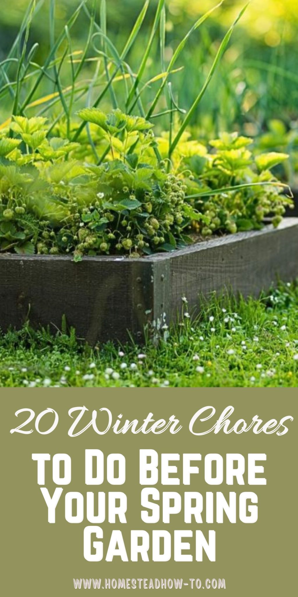 20 Winter Chores To Do Before Your Spring Garden