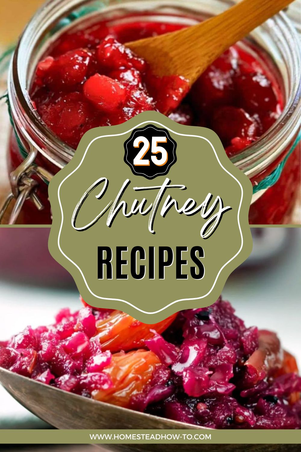 25 Sweet, Tangy, And Spicy Chutney Recipes That Taste Incredible