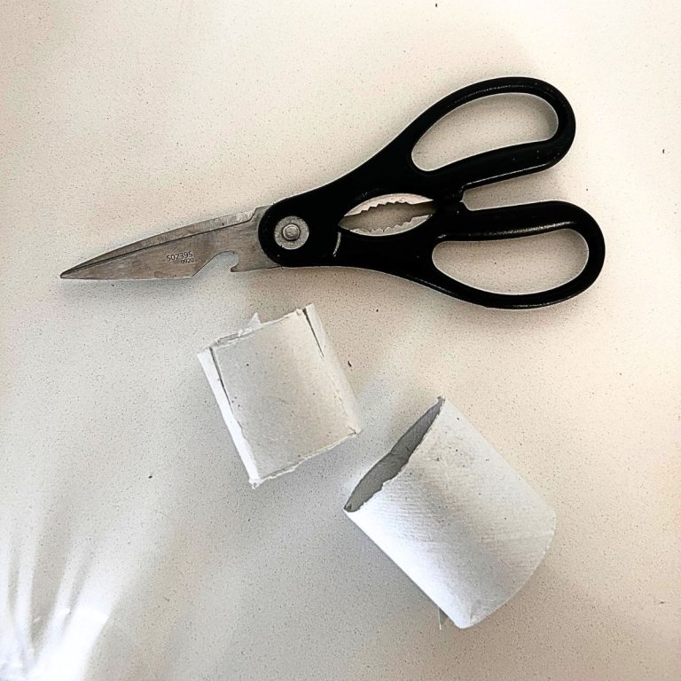 How To Make Toilet Paper Roll Seed Starters