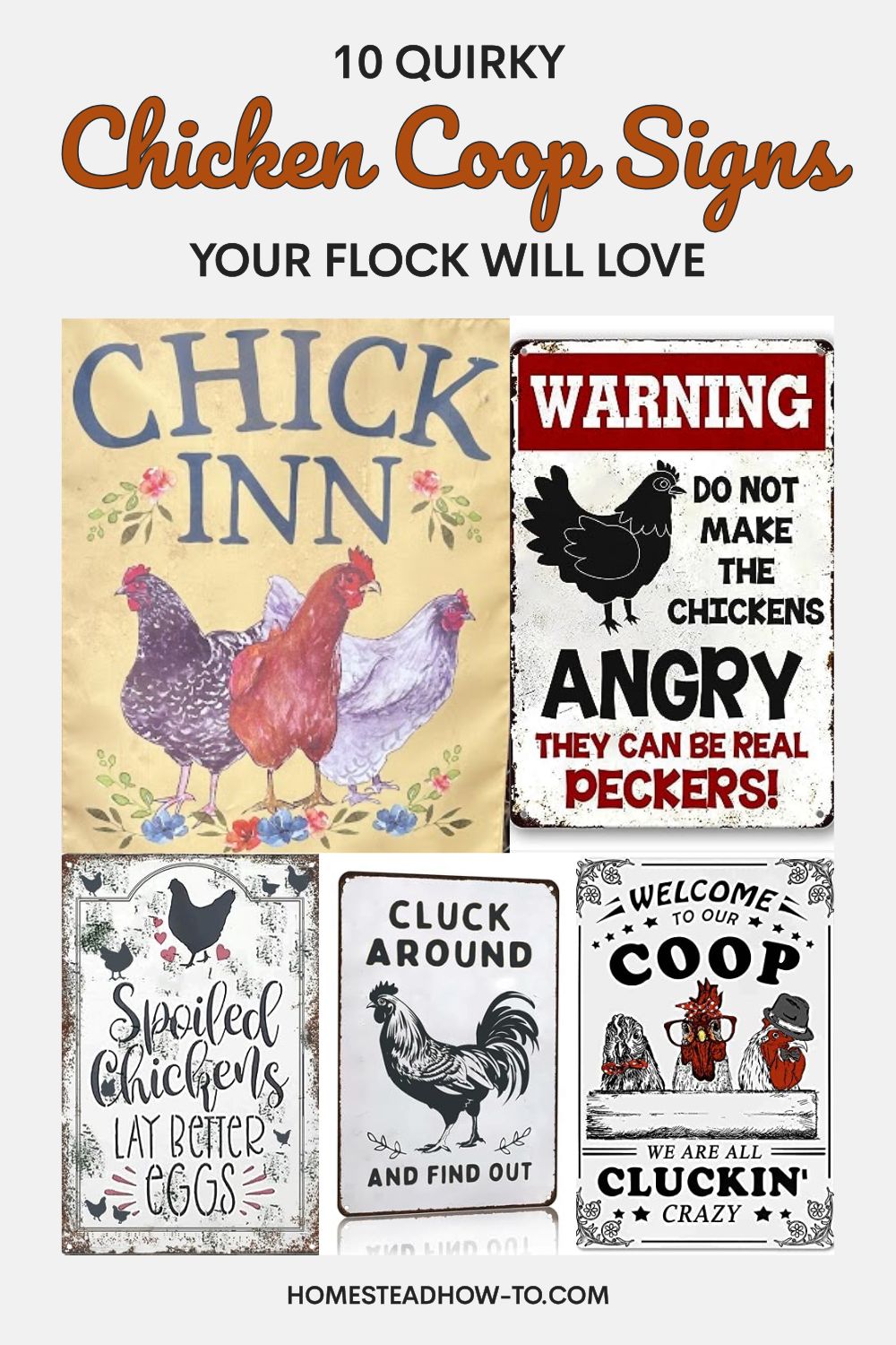 10 Quirky Chicken Coop Signs Your Flock Will Love