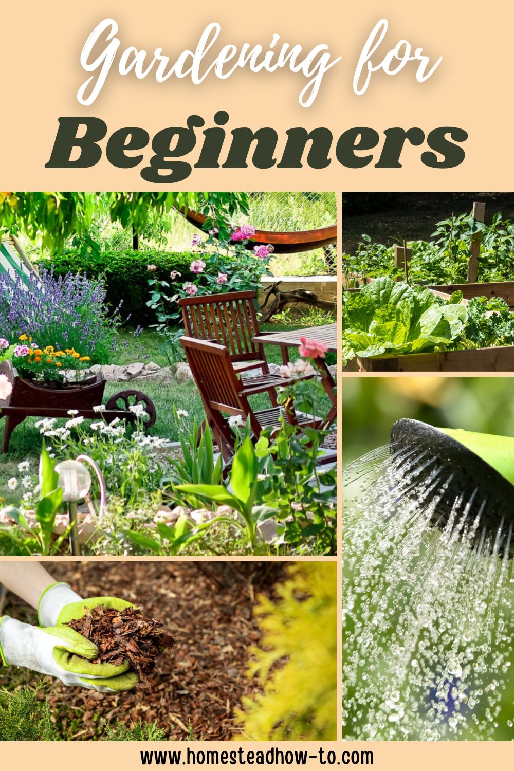 How To Start Gardening For Beginners: Tips And Tricks To Get Started