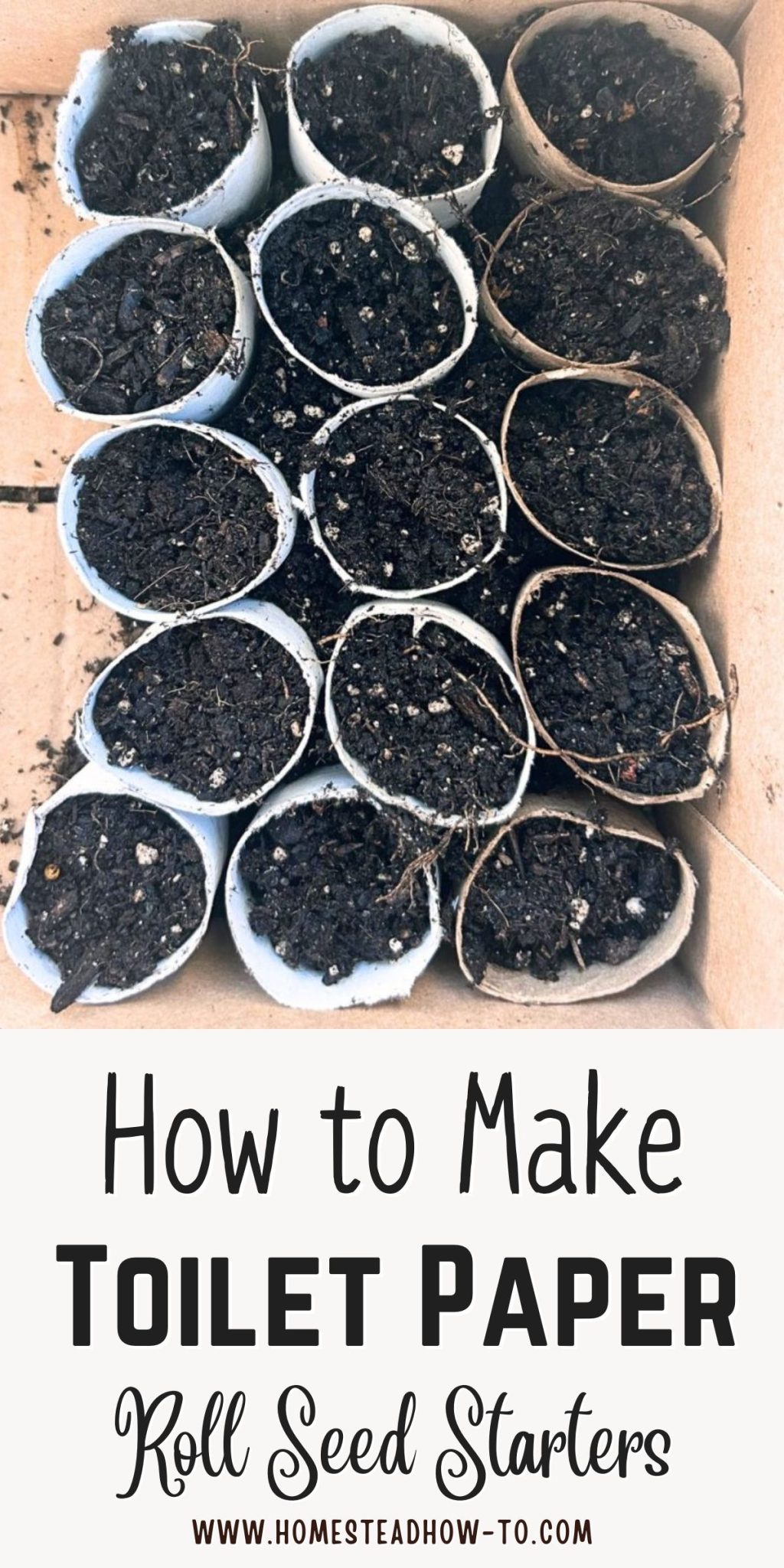 How To Make Toilet Paper Roll Seed Starters
