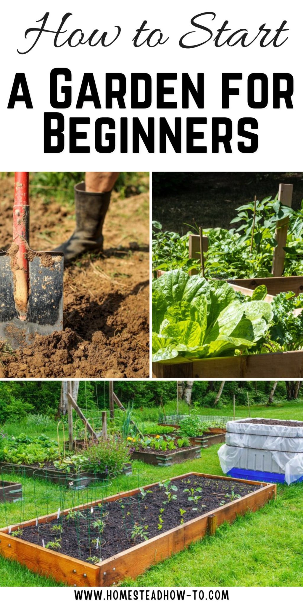 How To Start Gardening For Beginners: Tips And Tricks To Get Started