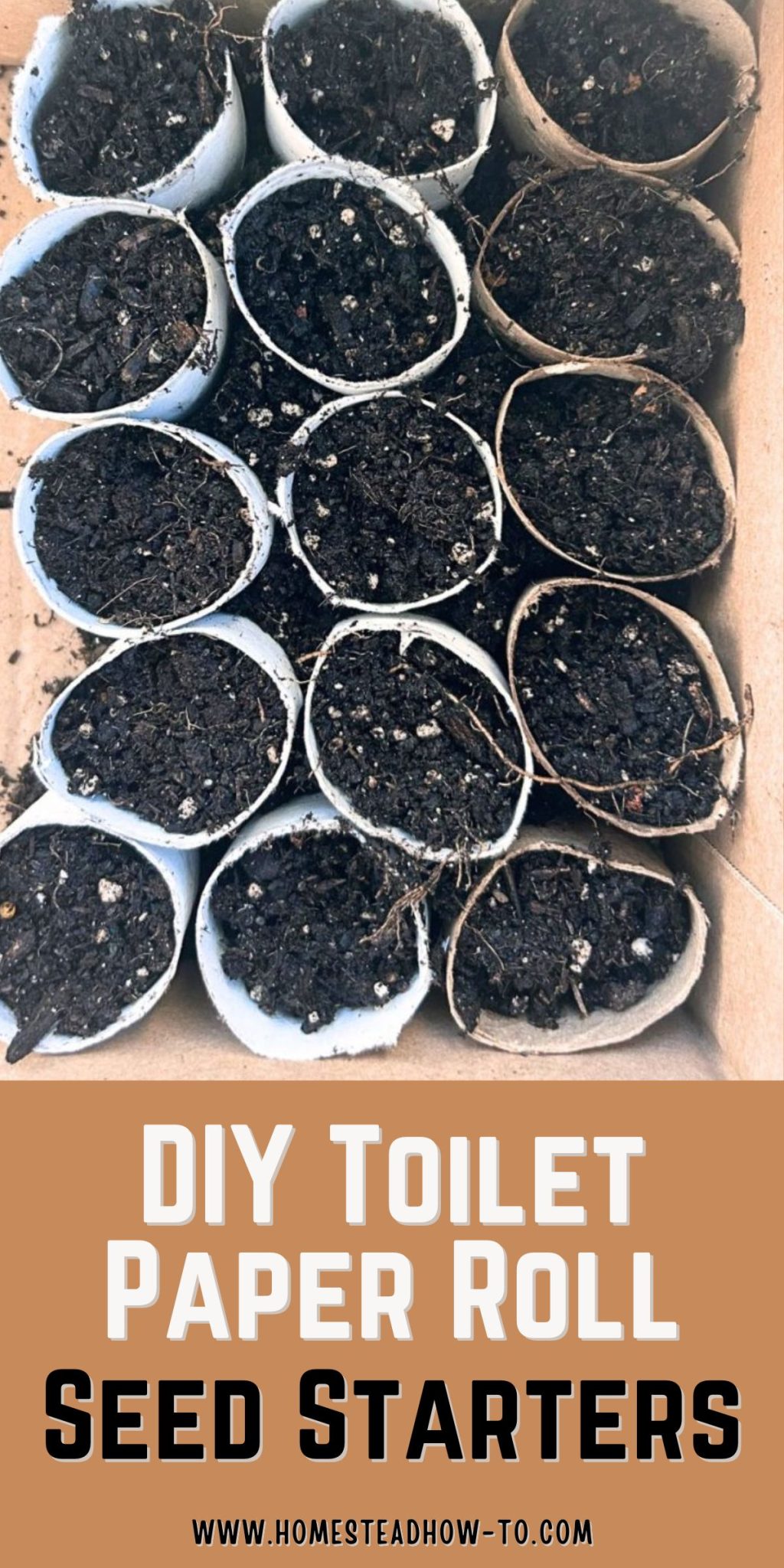 How To Make Toilet Paper Roll Seed Starters