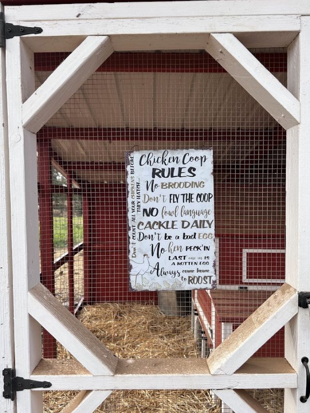 10 Quirky Chicken Coop Signs Your Flock Will Love