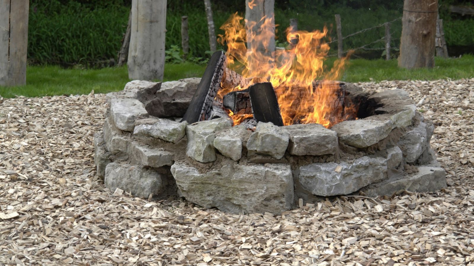7 Types Of Wood You Can Burn In A Fire Pit