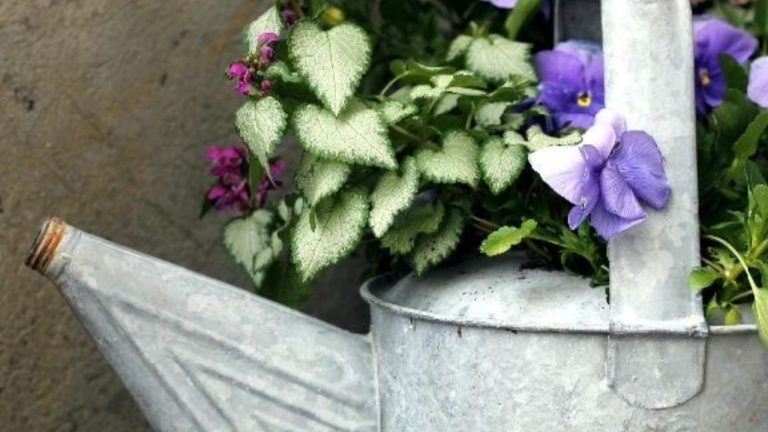 25 Creative Ways To Turn Old Junk Into Beautiful Planters For Your Garden