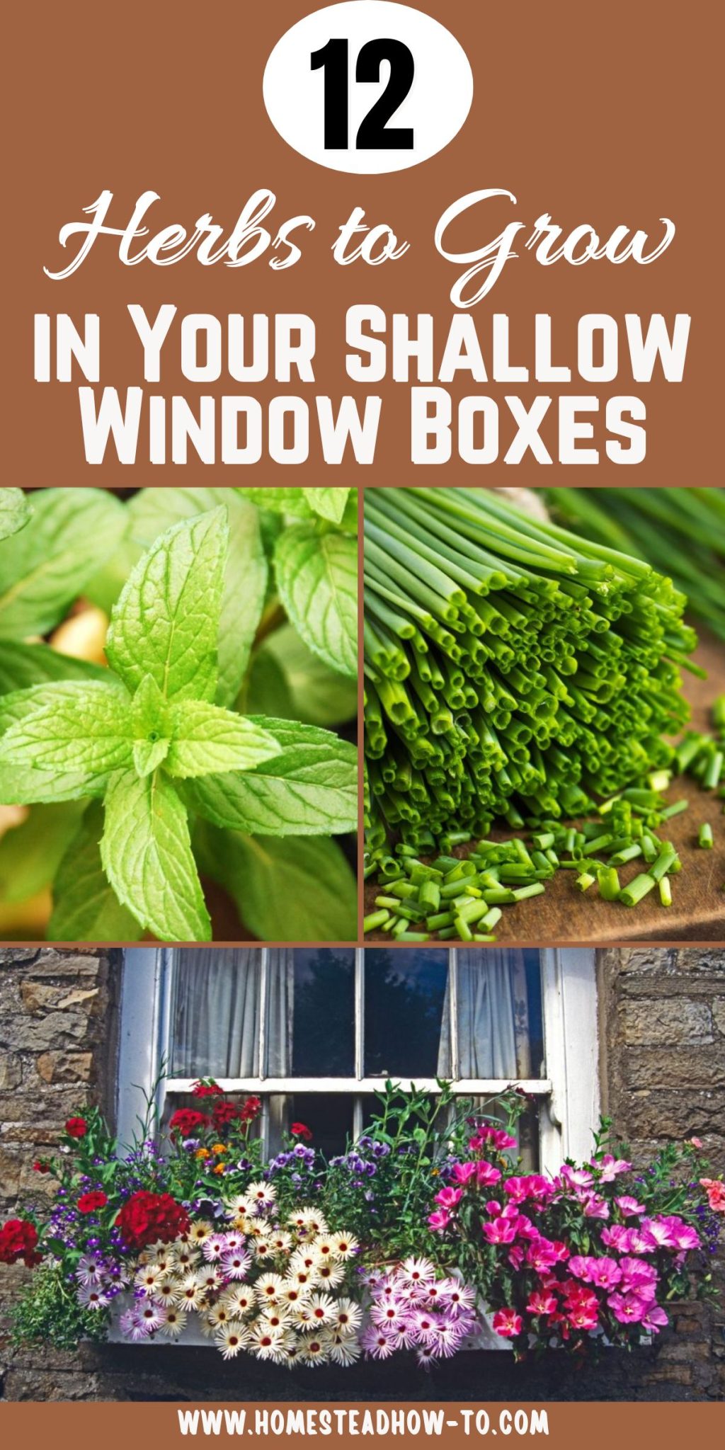12 Herbs To Grow In Your Shallow Window Boxes