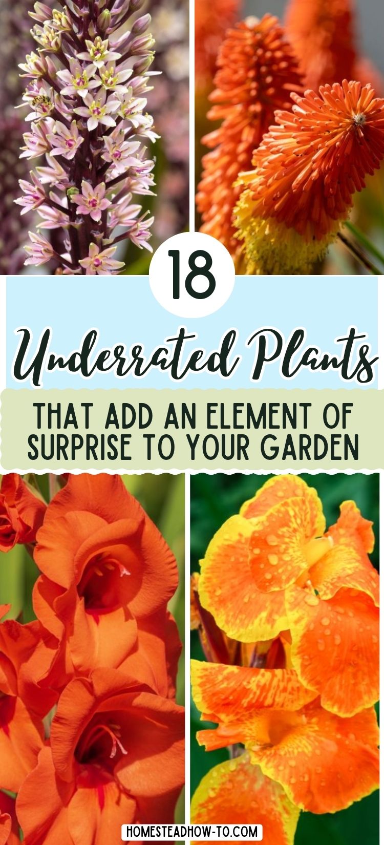 18 Underrated Plants That Add An Element Of Surprise To Your Garden