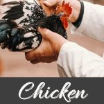 Chicken Shaking It’s Head? Reasons Why Chickens Shake Their Heads