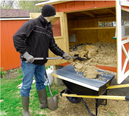 4 Best Chicken Poop Sifters - Backyard Chickens Coop