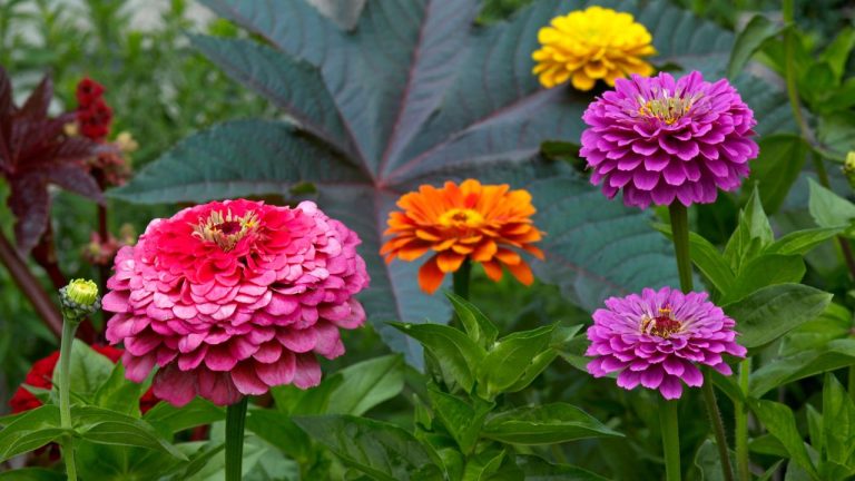 19 Naturally Stunning Wildflowers For Easy, Low-Maintenance Gardening