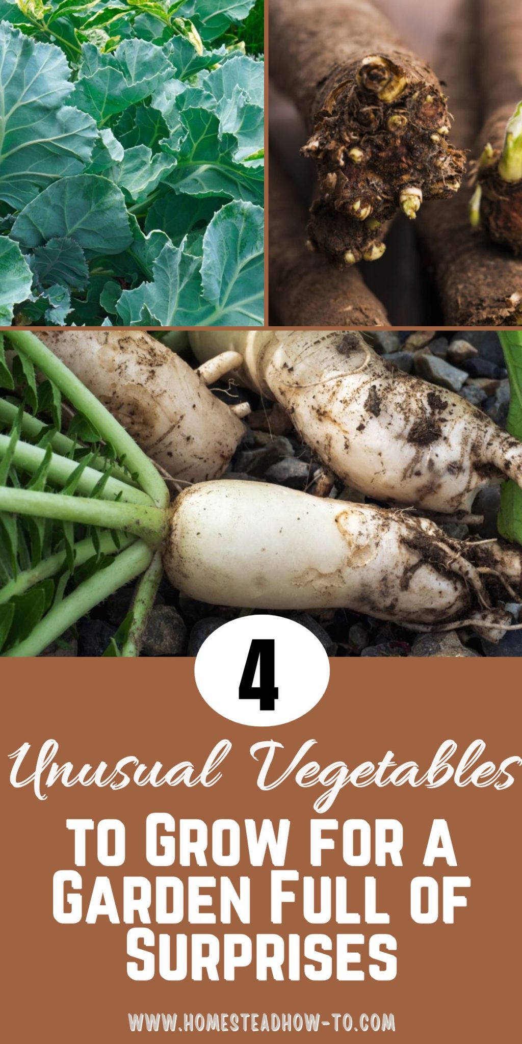 14 Unusual Vegetables To Grow For A Garden Full Of Surprises