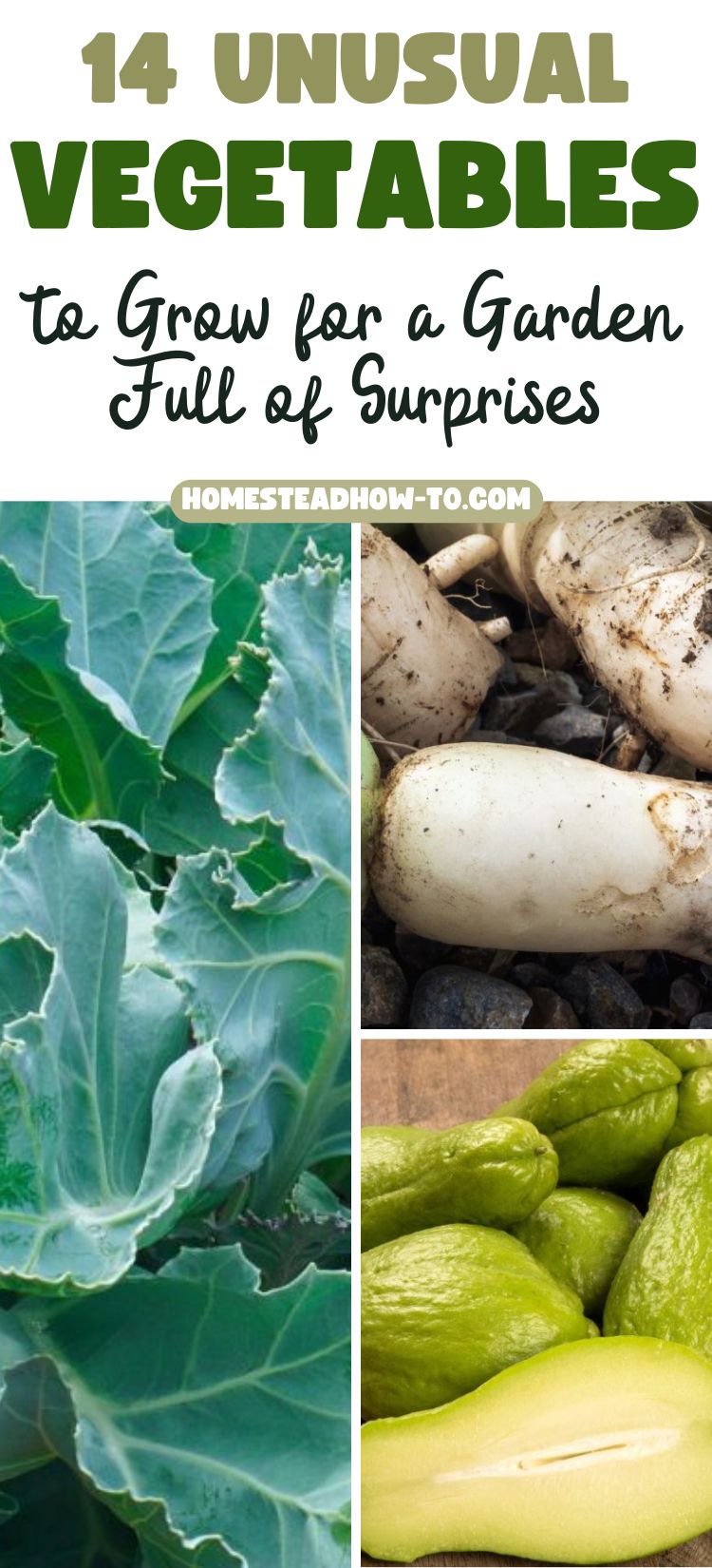 14 Unusual Vegetables To Grow For A Garden Full Of Surprises