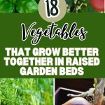 18 Vegetables That Grow Better Together In Raised Garden Beds