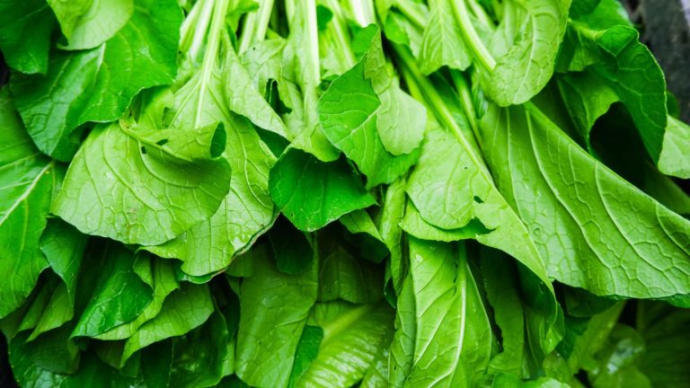 14 Unusual Vegetables To Grow For A Garden Full Of Surprises