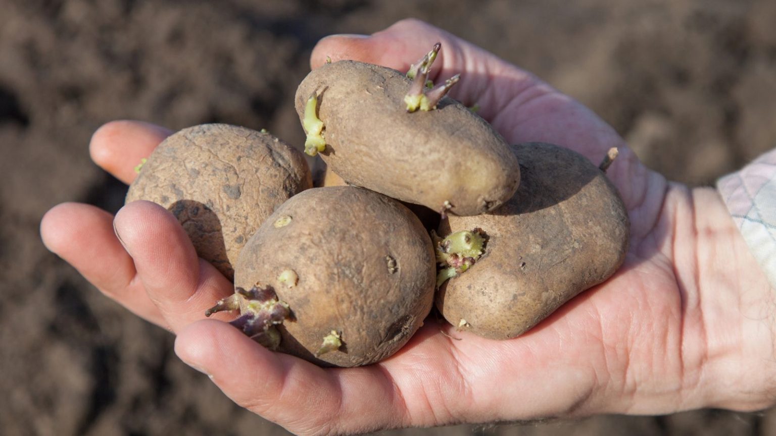 15 Household Items That Might Be Expired Without You Realizing