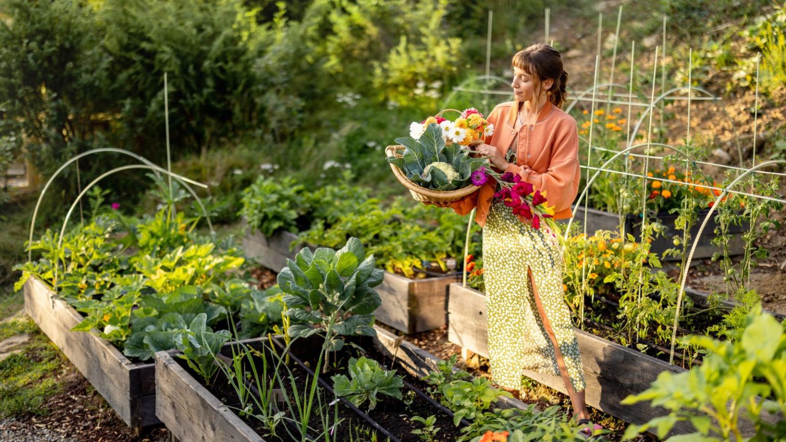 16 Best Vegetables To Grow In A Short Growing Season