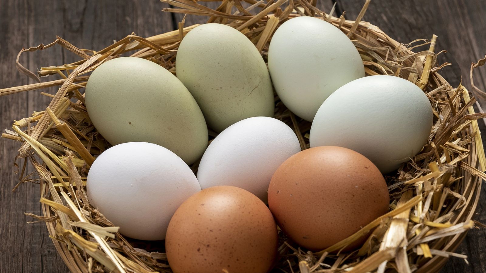Chickens That Naturally Lay Stunning Green Eggs