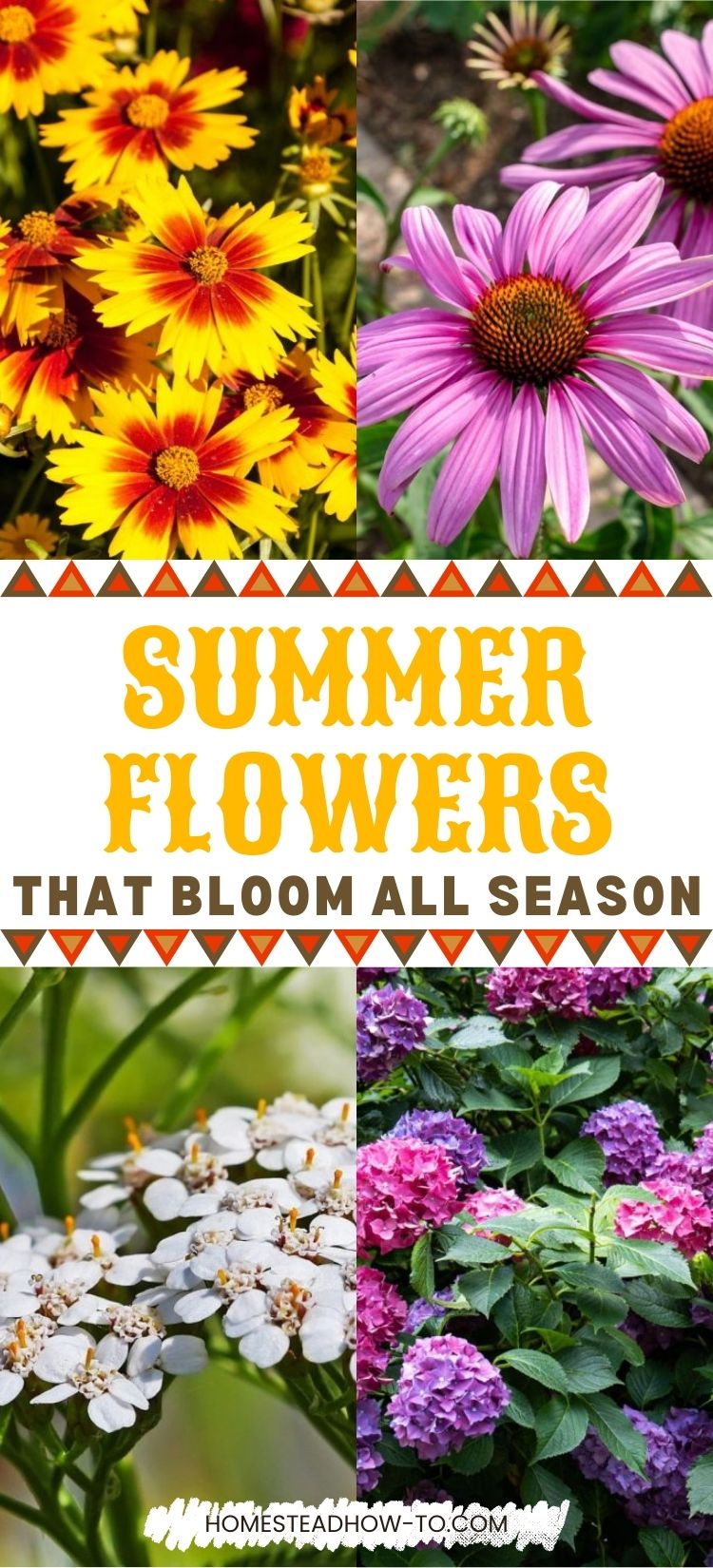 24 Colorful Perennials That Bloom All Summer Long