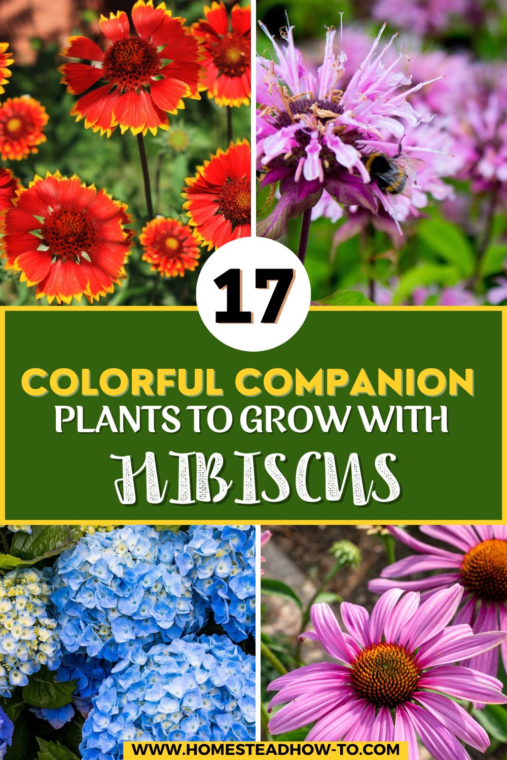 17 Colorful Companion Plants To Grow With Hibiscus