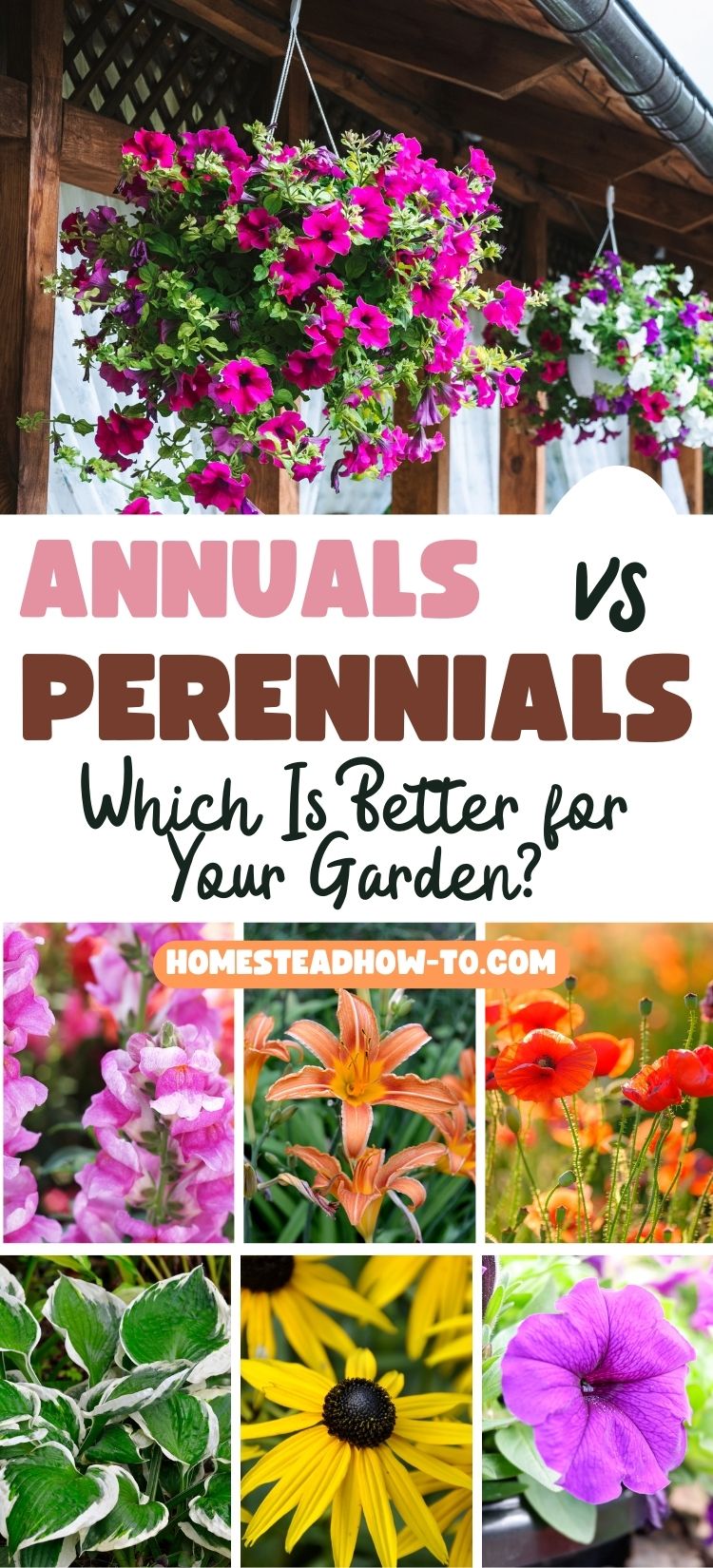 Annuals Vs. Perennials—Which Is Best For Your Garden?