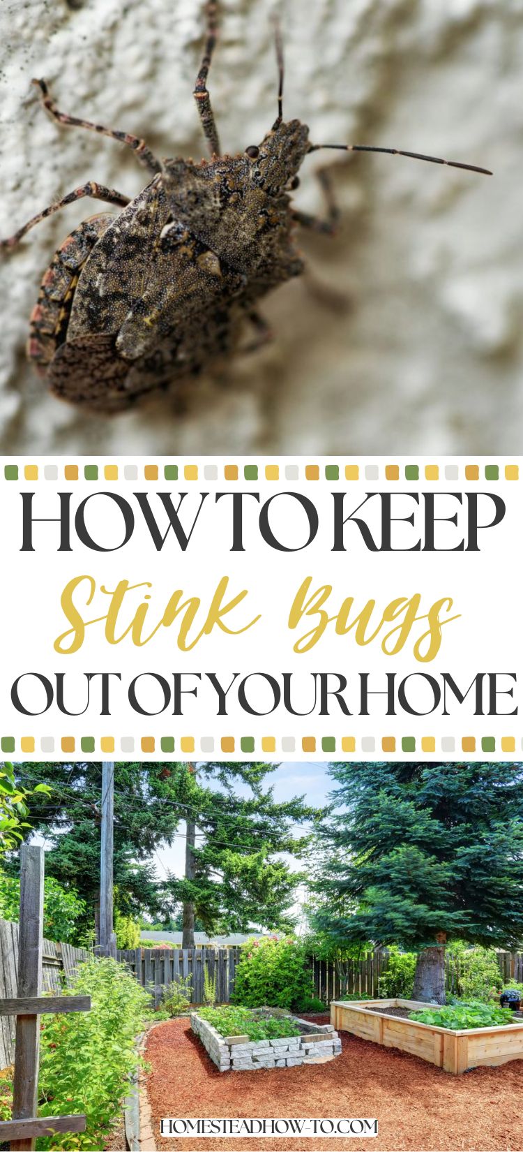 How To Keep Stink Bugs Out Of Your Home