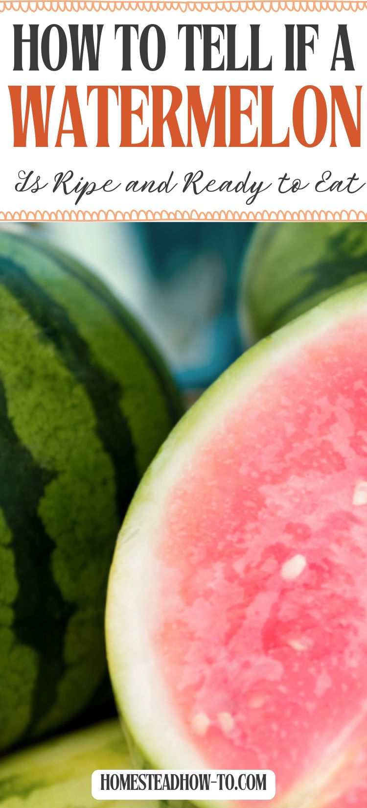 How To Tell If A Watermelon Is Ripe And Ready To Eat
