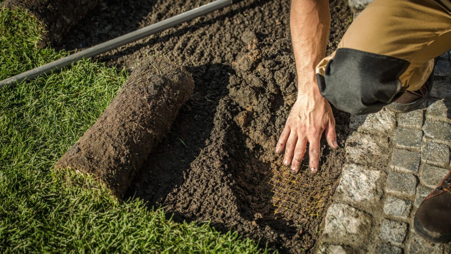 Use These Clever Tricks To Outsmart Gophers