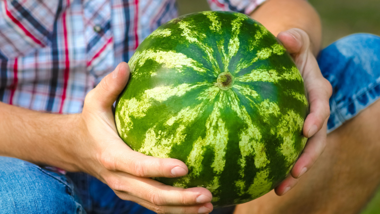 How To Tell If A Watermelon Is Ripe And Ready To Eat